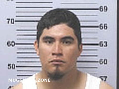 HERNANDEZ-JIMENEZ IVAN JESUS 10/21/2024 - Mobile County Mugshots Zone