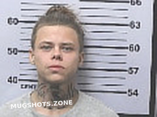 DINKINS JOSHUA DEVAN 10/24/2024 - Mobile County Mugshots Zone
