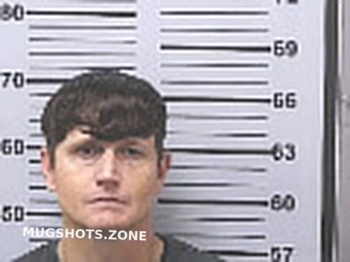SULLIVAN MICHAEL BRANDON 11/01/2024 - Mobile County Mugshots Zone