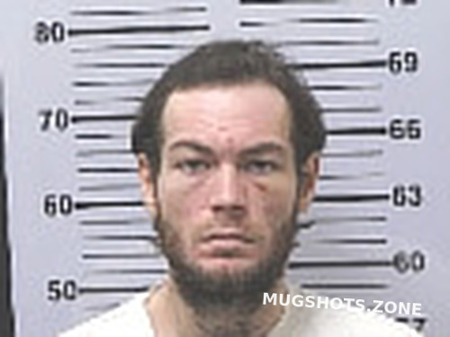 GRAY MICHAEL ANTHONY 11/07/2024 - Mobile County Mugshots Zone