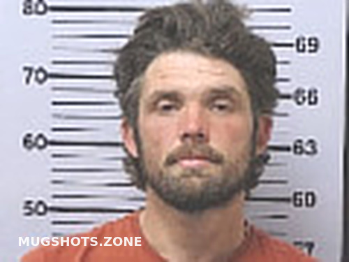 DAVIS WAYNE CHASE 11/16/2024 - Mobile County Mugshots Zone