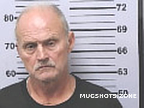 REED LARRY WAYNE 11/17/2024 - Mobile County Mugshots Zone