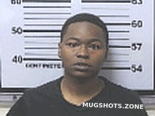 ANDERSON SHERIKA TRENA 11/17/2024 - Mobile County Mugshots Zone