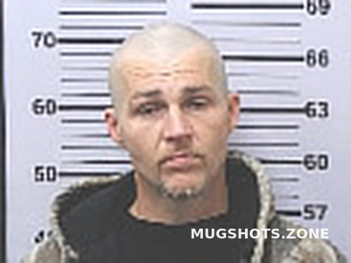 REID JESSIE ALLEN 11/25/2024 - Mobile County Mugshots Zone