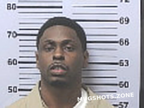 MILLER-BRISKER ROBERT KARY 11/25/2024 - Mobile County Mugshots Zone