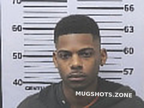 WIGGINS DARYL GEORGE JR 11/27/2024 - Mobile County Mugshots Zone