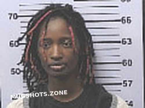 CRAIG-PERRY JESSICA NASHEA 01/02/2025 - Mobile County Mugshots Zone