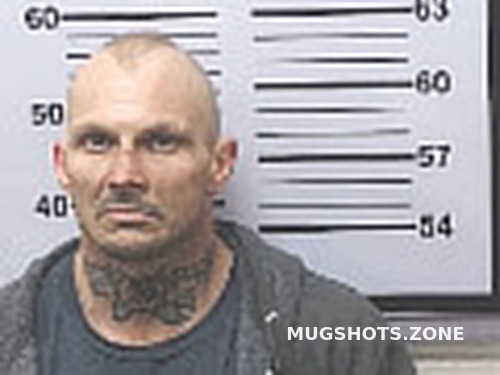 HAMILTON JEFFERY CHAD 01/02/2025 - Mobile County Mugshots Zone