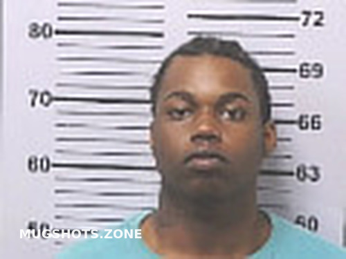 DILLARD RONNIE NATHANIEL MARSHALL 01/09/2025 - Mobile County Mugshots Zone