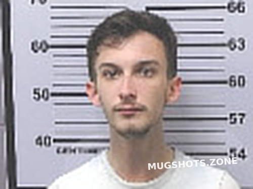 SHEFFIELD JACOB ANDREW 02/01/2025 - Mobile County Mugshots Zone