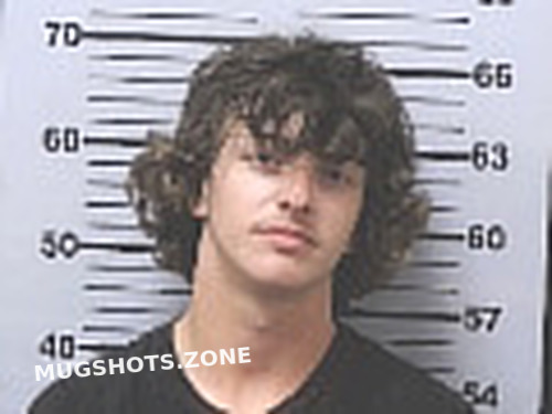 HAWK AUSTIN RYAN 02/08/2025 - Mobile County Mugshots Zone