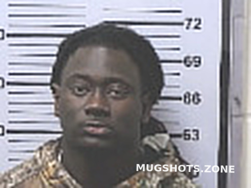 ADAMS CALVIN EARL JR 02/13/2025 - Mobile County Mugshots Zone