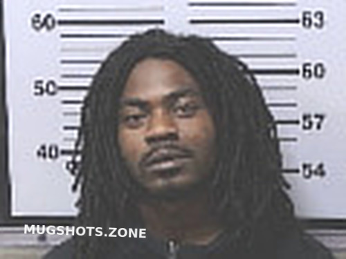 DAVIS JR TIMOTHY WAYNE 02/22/2025 - Mobile County Mugshots Zone