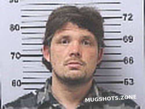 DAVIS WAYNE CHASE 03/02/2025 - Mobile County Mugshots Zone