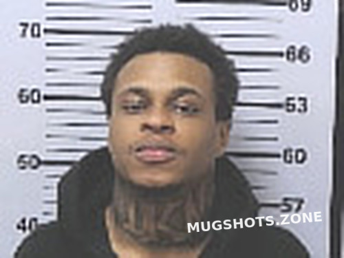BLANKS CAMERON KEON 03/04/2025 - Mobile County Mugshots Zone
