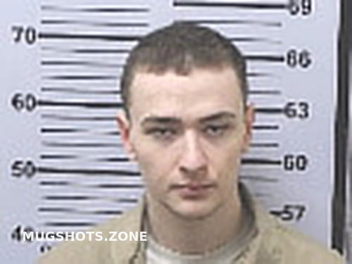 LEWIS JACKSON POWELL 03/11/2025 - Mobile County Mugshots Zone