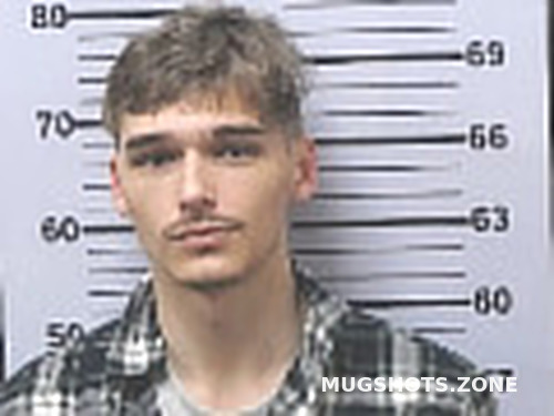 HAMMONS HUNTER LEE 03/11/2025 - Mobile County Mugshots Zone