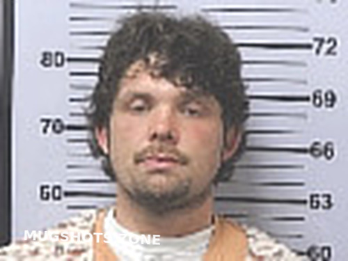 DAVIS WAYNE CHASE 03/14/2025 - Mobile County Mugshots Zone
