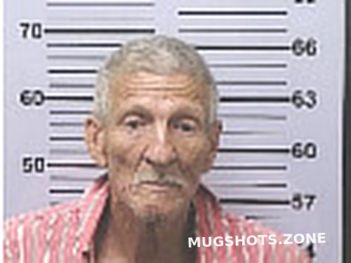 REED DAVID WARREN 03/19/2025 - Mobile County Mugshots Zone