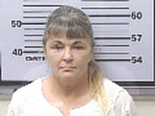 COLLINS LISA KAY 03/29/2025 - Mobile County Mugshots Zone