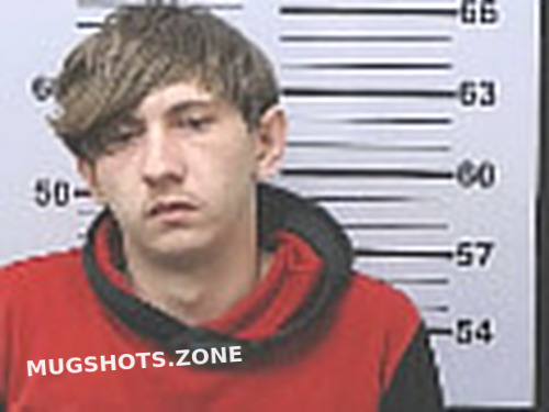 HALL BRYAN LOUIS 04/12/2025 - Mobile County Mugshots Zone