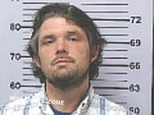 DAVIS WAYNE CHASE 05/02/2025 - Mobile County Mugshots Zone