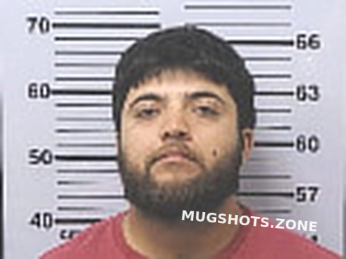 MORALES-LIZARDI LUIS 05/22/2025 - Mobile County Mugshots Zone