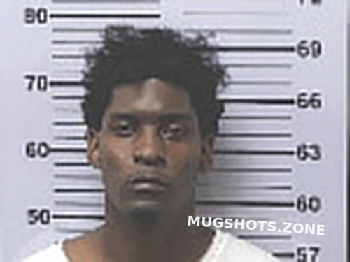 JOHNSON TORRENCE JAMICHAEL 05/29/2025 - Mobile County Mugshots Zone