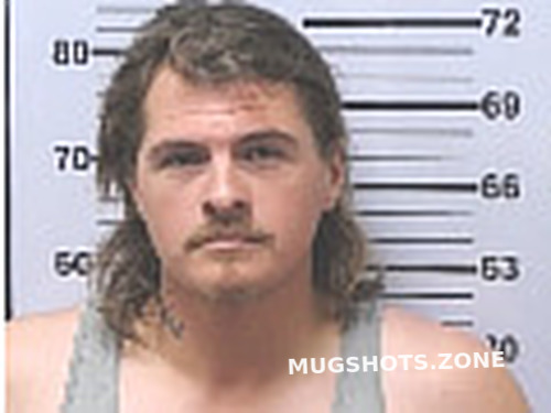 EVERETT MICHAEL ANTHONY 05/30/2025 - Mobile County Mugshots Zone