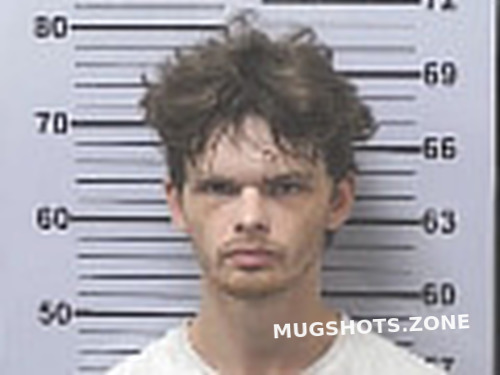 STAPLES III MICHAEL HENRY 06/08/2025 - Mobile County Mugshots Zone