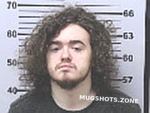 REED BRANDON AARON 06/11/2025 - Mobile County Mugshots Zone