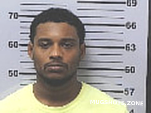 POWELL GAVIN TYLER 06/13/2025 - Mobile County Mugshots Zone