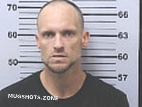 MCADAMS RUSTY LYNN 06/16/2025 - Mobile County Mugshots Zone