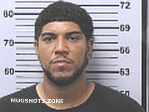 PEREZ-RODRIGUEZ LIVAN 06/22/2025 - Mobile County Mugshots Zone