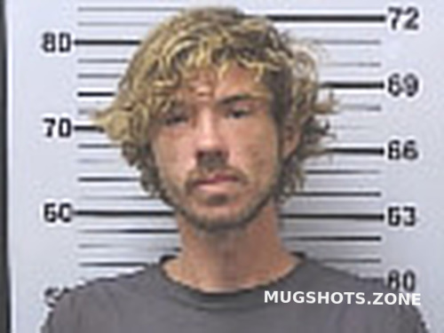 JOHNSON ALEXANDER WARREN 06/23/2025 - Mobile County Mugshots Zone