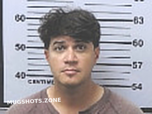 SAXON ERIK RYAN 07/30/2025 - Mobile County Mugshots Zone