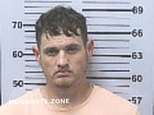 HIGGINS JEREMY EDWARD 08/17/2025 - Mobile County Mugshots Zone