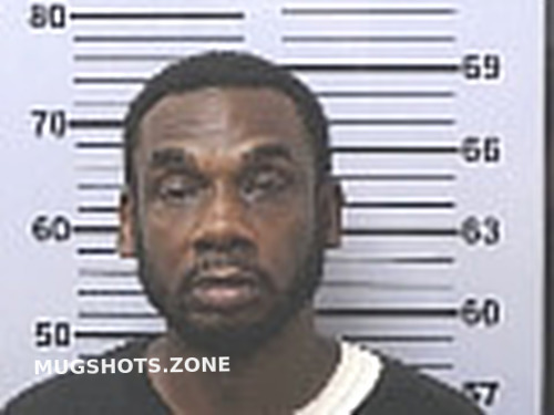 CHAPMAN RYAN AUSTIN 08/18/2025 - Mobile County Mugshots Zone