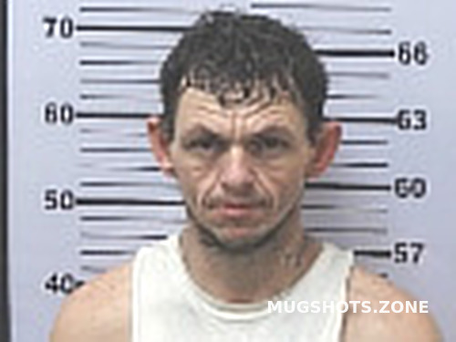 LYONS JAMES WENDELLE JR 08/21/2025 - Mobile County Mugshots Zone