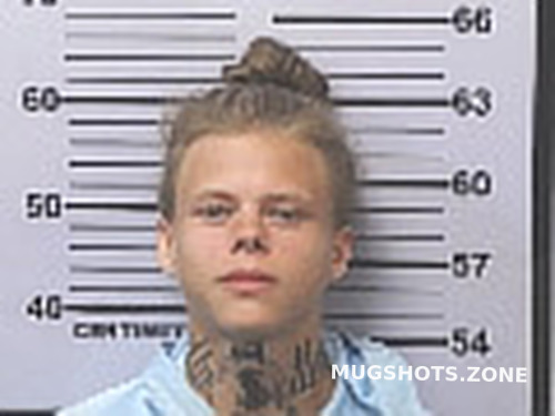 DINKINS JOSHUA DEVAN 10/08/2025 - Mobile County Mugshots Zone