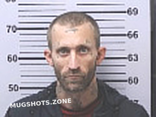 WORKMAN MARK WESLEY II 11/01/2025 - Mobile County Mugshots Zone