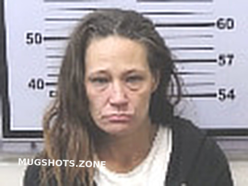 YOUNG SARAH BETH 11/24/2025 - Mobile County Mugshots Zone