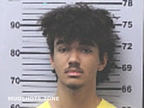 GREEN JACOB SYLVAN 01/05/2026 - Mobile County Mugshots Zone