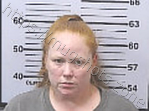 WALL LISA KIM 04/02/2026 - Mobile County Mugshots Zone