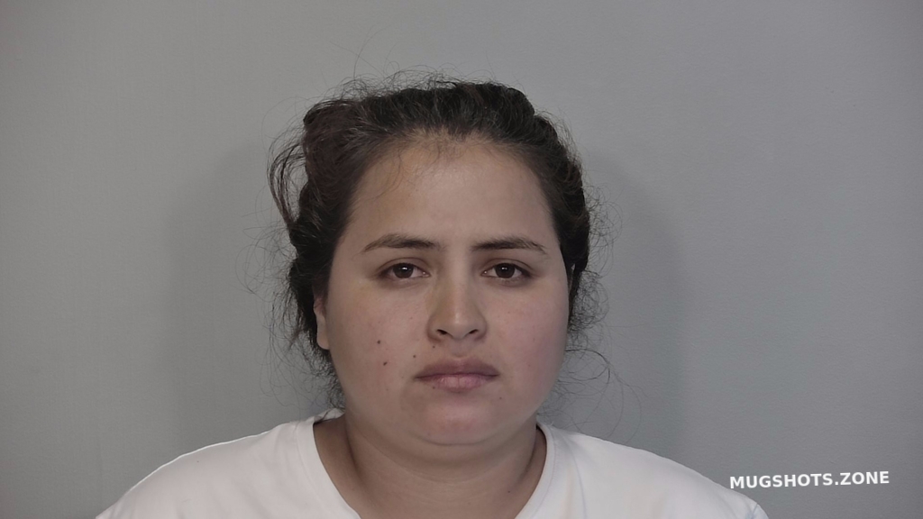 BUSTILLO REYES MIREISY ROSMERI 03/11/2024 - Monroe County Mugshots Zone