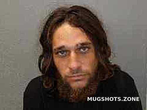 LAPIDUS JOSHUA SETH 11/26/2024 - Monroe County Mugshots Zone