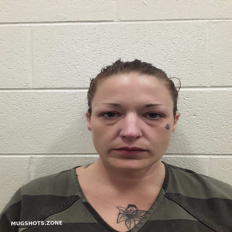 COOK HOLLY AMANDA 11/27/2024 - Monroe County Mugshots Zone