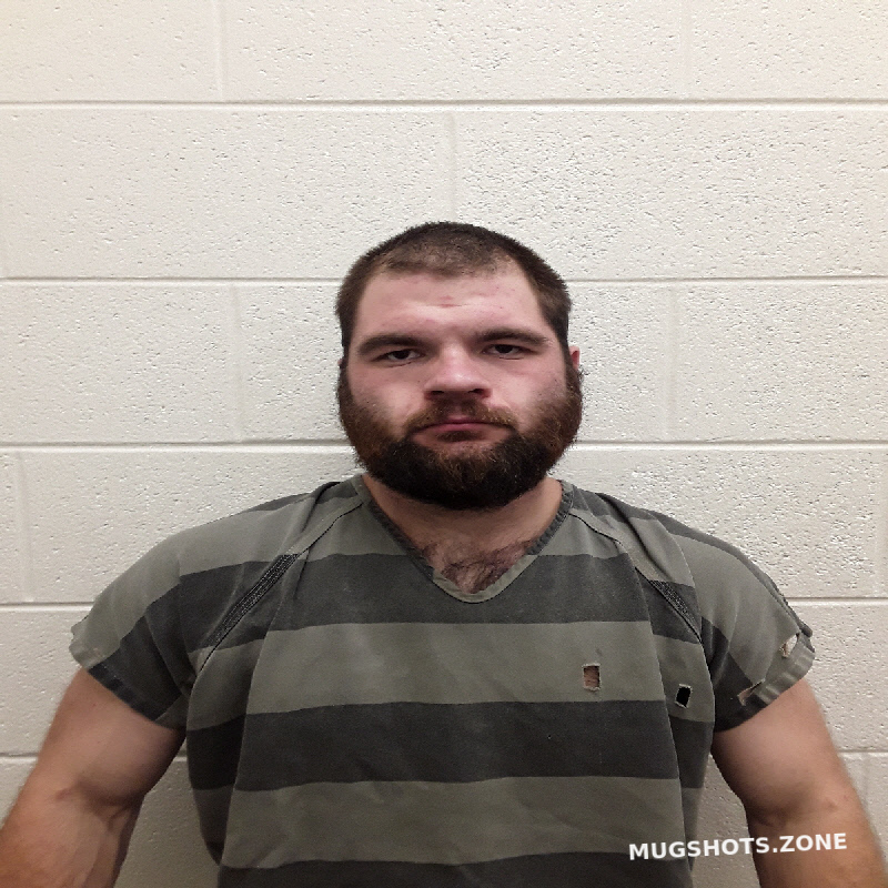 PATTERSON CODY ALLEN 01/29/2025 - Monroe County Mugshots Zone