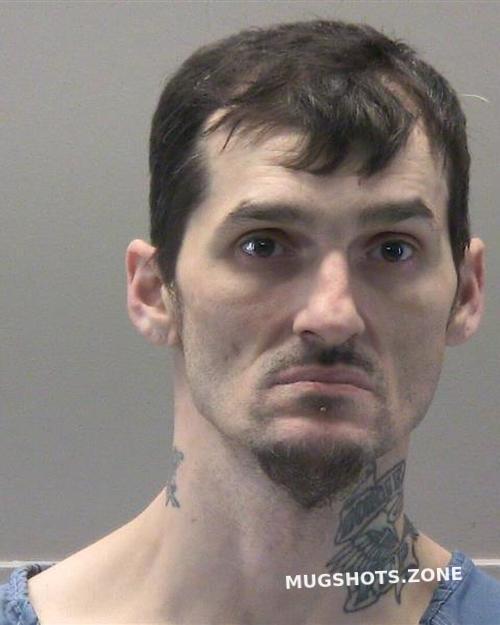 BLYTHE WILLIAM 01/20/2021 - Montgomery County Mugshots Zone