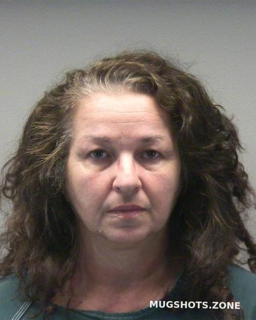 HOLLOWAY LISA LYNN 05/03/2021 - Montgomery County Mugshots Zone